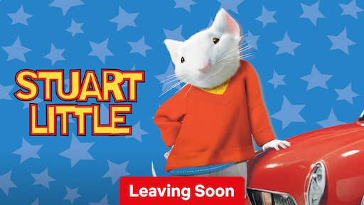 Stuart Little 1 Movie
